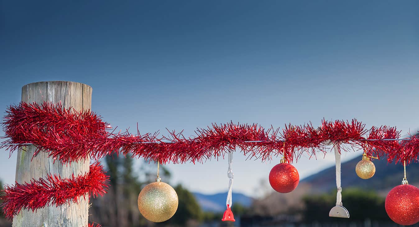 Living Valley Pre Christmas Program